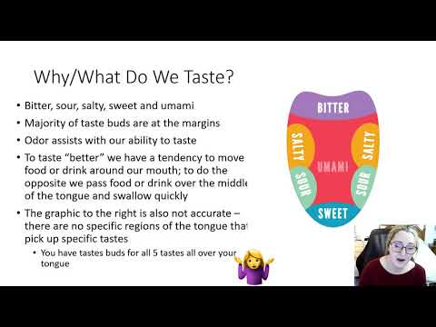 Human Biology Special Senses Lecture