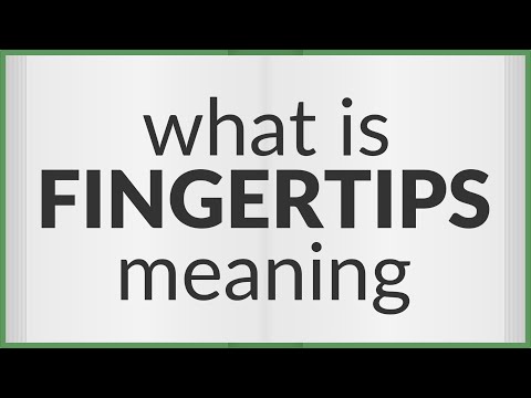 Fingertips | meaning of Fingertips