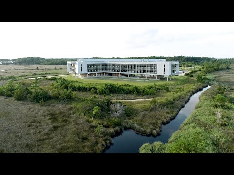ECU Integrated Coastal Programs