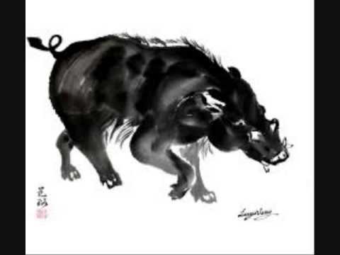 The year of the Boar - Chinese/Taoist Astrology (Wu Xing)