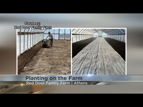 Planting underway at Red Door Family Farm