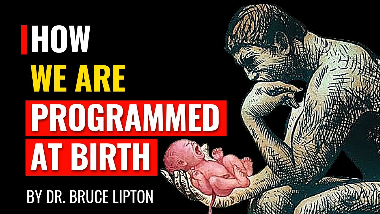 Dr Bruce Lipton - How We Are Programmed At Birth And Why Some People Remain in Poverty