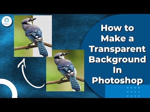 How to make a Transparent Background in Photoshop (2025)