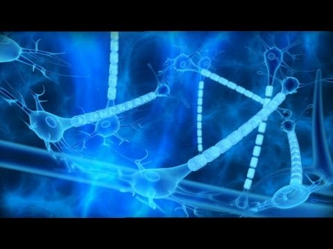 MS Cure? Can Multiple Sclerosis be cured?