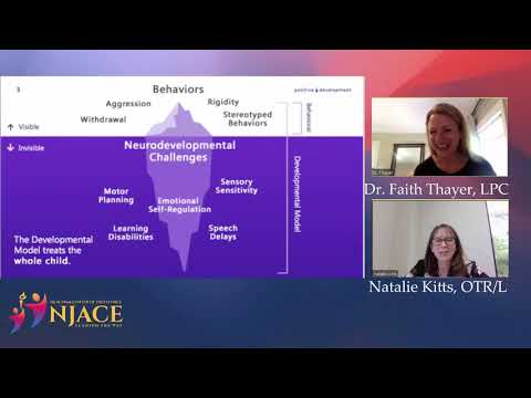 Strategies to Promote Development for a Better Life for Autistic Children through the DIR Model