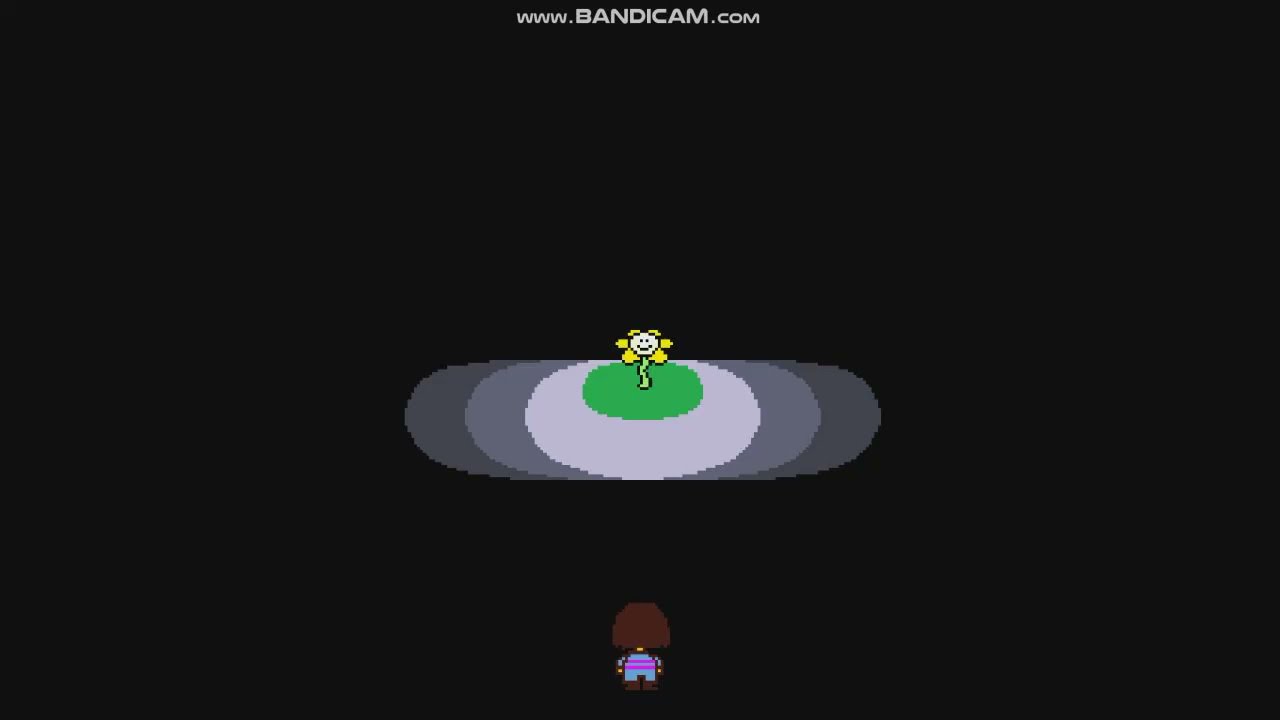 Undertale - Trolling Flowey