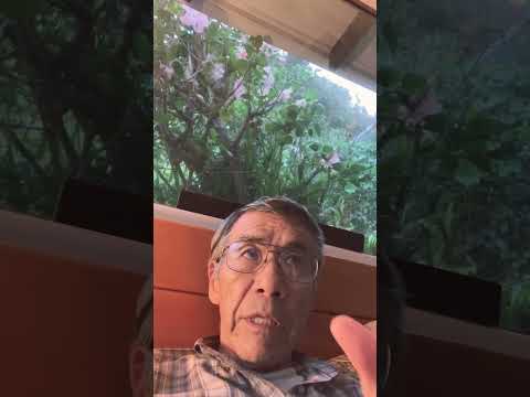 Understand the mind and body relationship (2) - breathing and inner body sensation - vipassana