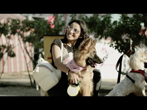 Amanda's Animal Rescue (AAR) in Dubai | Animal Shelters UAE | Xpress Money Stories