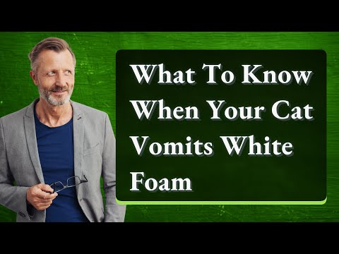 What To Know When Your Cat Vomits White Foam