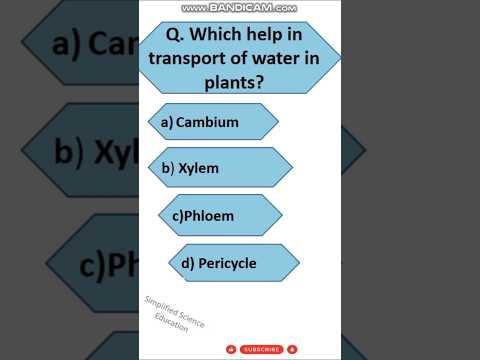 Quiz II Biology