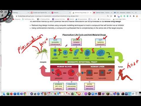 8.1 Rational Drug Design