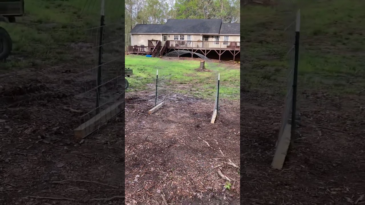 Learn how to make a trellis for cheap #gardening #homesteading #garden #home