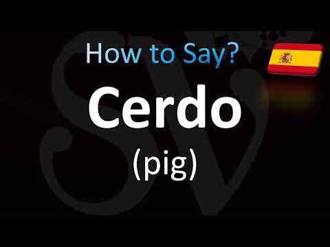 How to Pronounce Pig ''Cerdo'' in Spanish