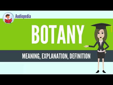 What Is BOTANY? BOTANY Definition & Meaning