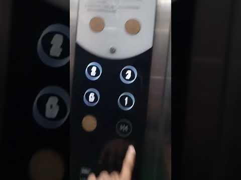 Elevator Ceiling - Elevator False Ceiling Design Latest Price ...