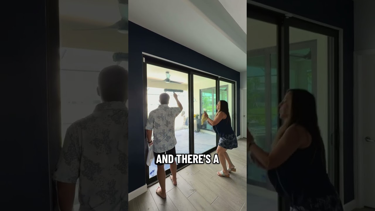 Professional Squeegee vs EasyLIGHT (Which Works Better?)