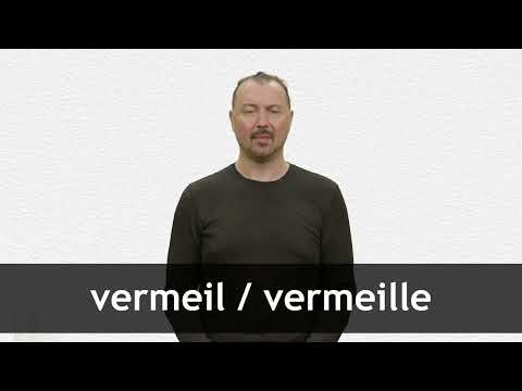 English Translation of “VERMEIL” | Collins French-English Dictionary