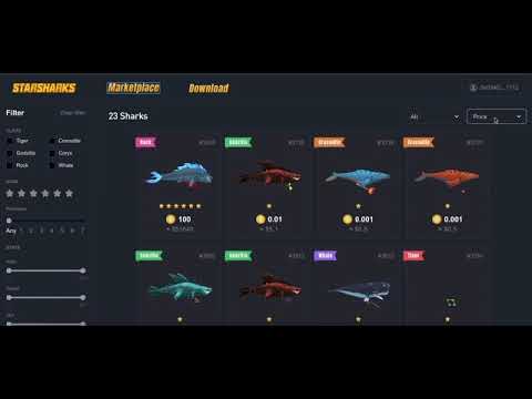 How to Rent Out Your Shark