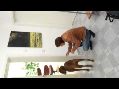 My Movie(JUN 22, 2014 14:13 - 14:49)