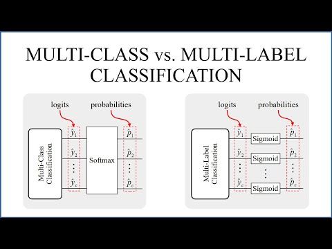 Multi-Class vs. Multi-Label Classification