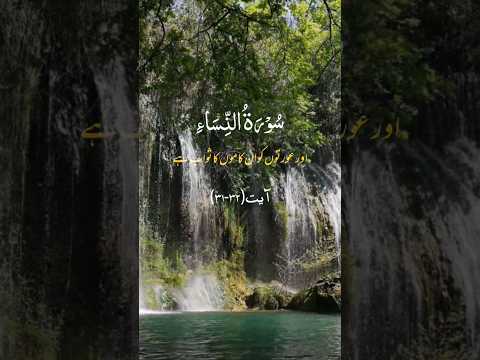 Justice and Mercy in Divine Decree – #QuranRecitation #IslamicWisdom #SurahAnNisa#ytshorts #youtub