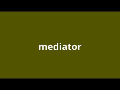 what is the meaning of mediator