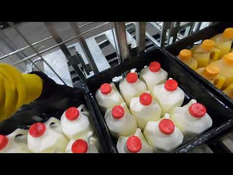 Come with me to work! (Dollar General Warehouse)