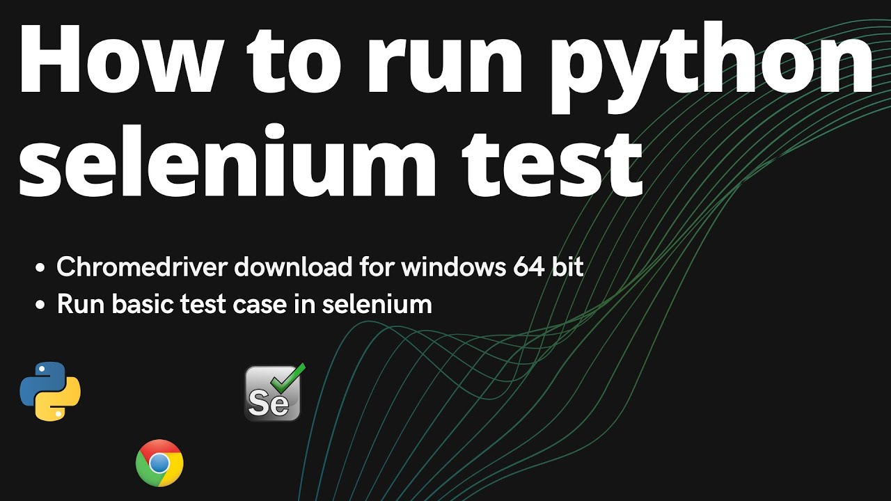 #4 How to run python selenium test