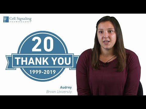 Why Audrey Chooses CST Antibodies