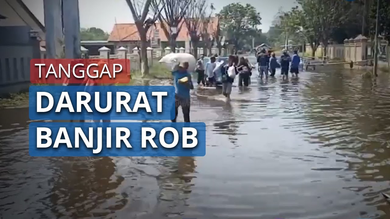 14 Hari ke Depan, Pemkot Pekalongan akan Tetapkan Tanggap Darurat Bencana Banjir Rob - Tribun Video
