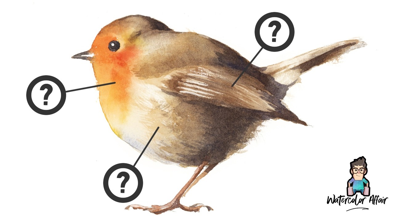 3 Must-Try Watercolor Techniques for Beginners! (Paint a Robin Bird)