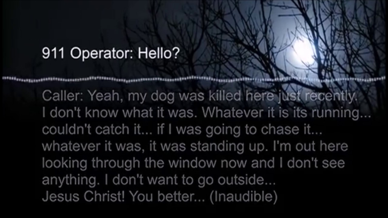 Squatch Stories: 