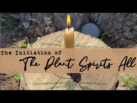 The Plant Spirits All - How To Begin Green Sorcery