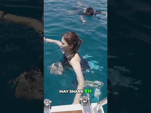 Ong Fam Shark Encounter Experience | Janices Geo Ong #ONGFAM #Geoong #Agith #vlog #alexgonzaga