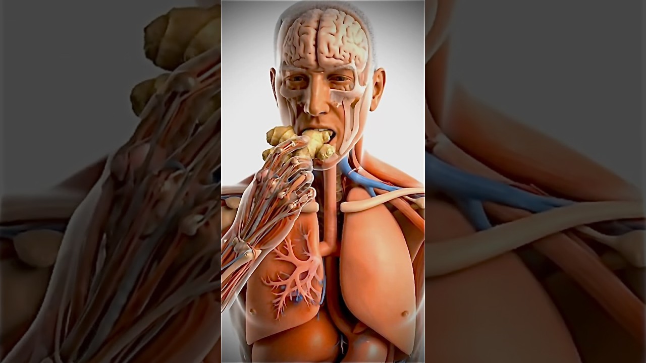 What really happens inside your body when you eat ginger(adrak)🫚?#ginger #benefits #healthy #shorts
