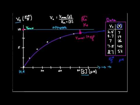 Michaelis-Menten Plot: Estimating Km