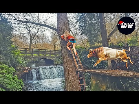 TOTAL IDIOTS AT WORK | Instant Regret Fails Compilation 2024 #440 | Best Fails of the Week