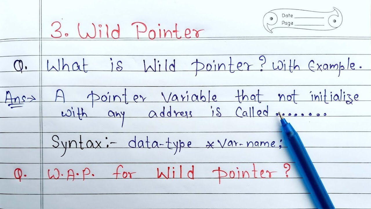 wild pointer in c with example | What is Wild Pointer? | Learn Coding