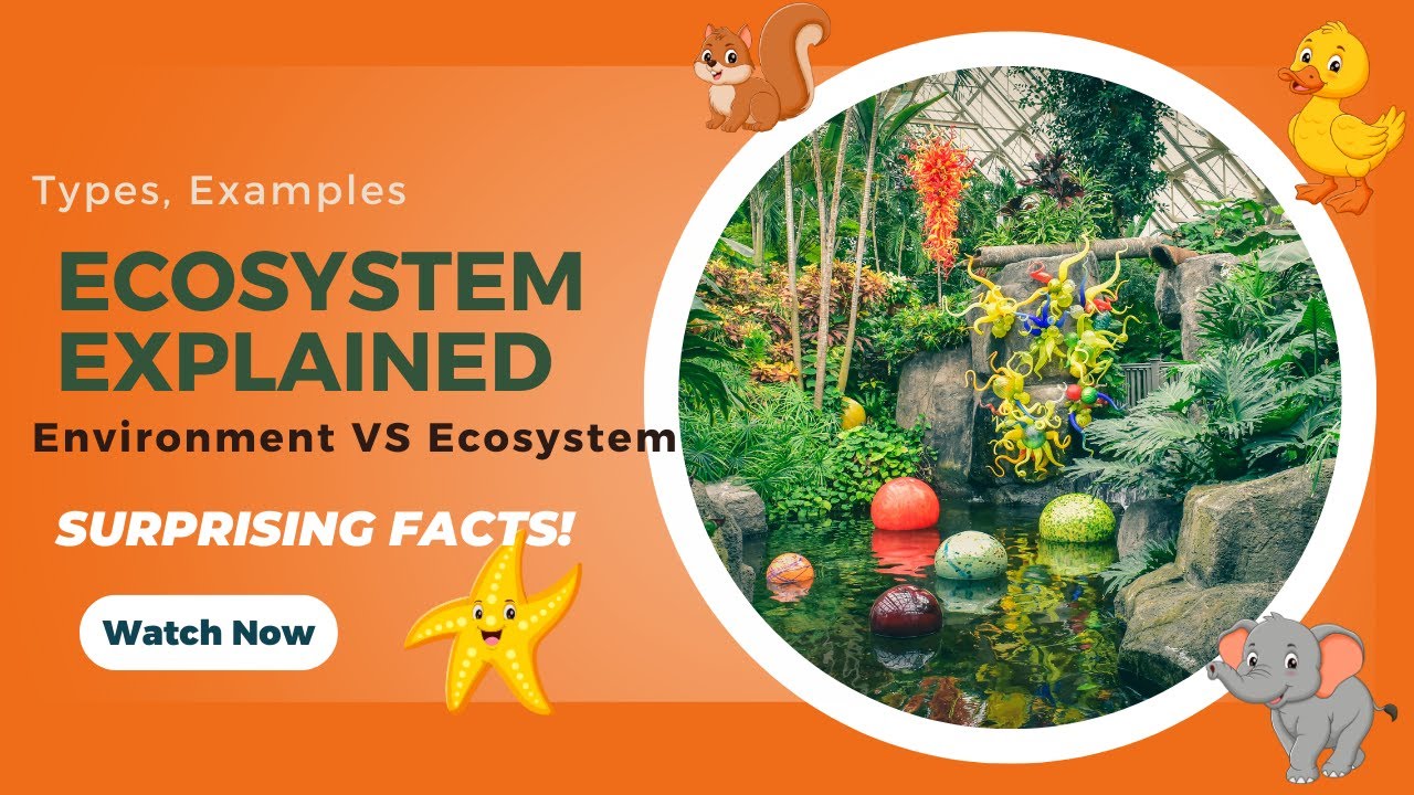 Ecosystem Explained |Types, Components and How It Works with Examples| STEM Science