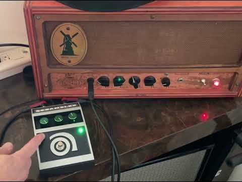 Scrambled - an Ampeg Scrambler Octave/Fuzz Clone, NOS Ampeg | Reverb