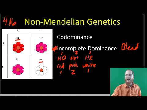 Non-Mendelian Inheritance