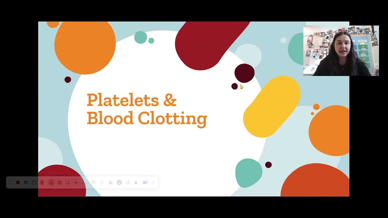 Blood Part 3 Revised