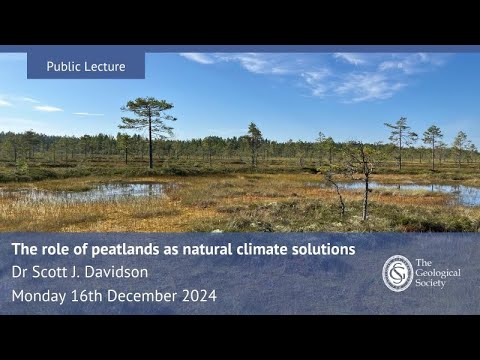 Wetland Resilience Research Group