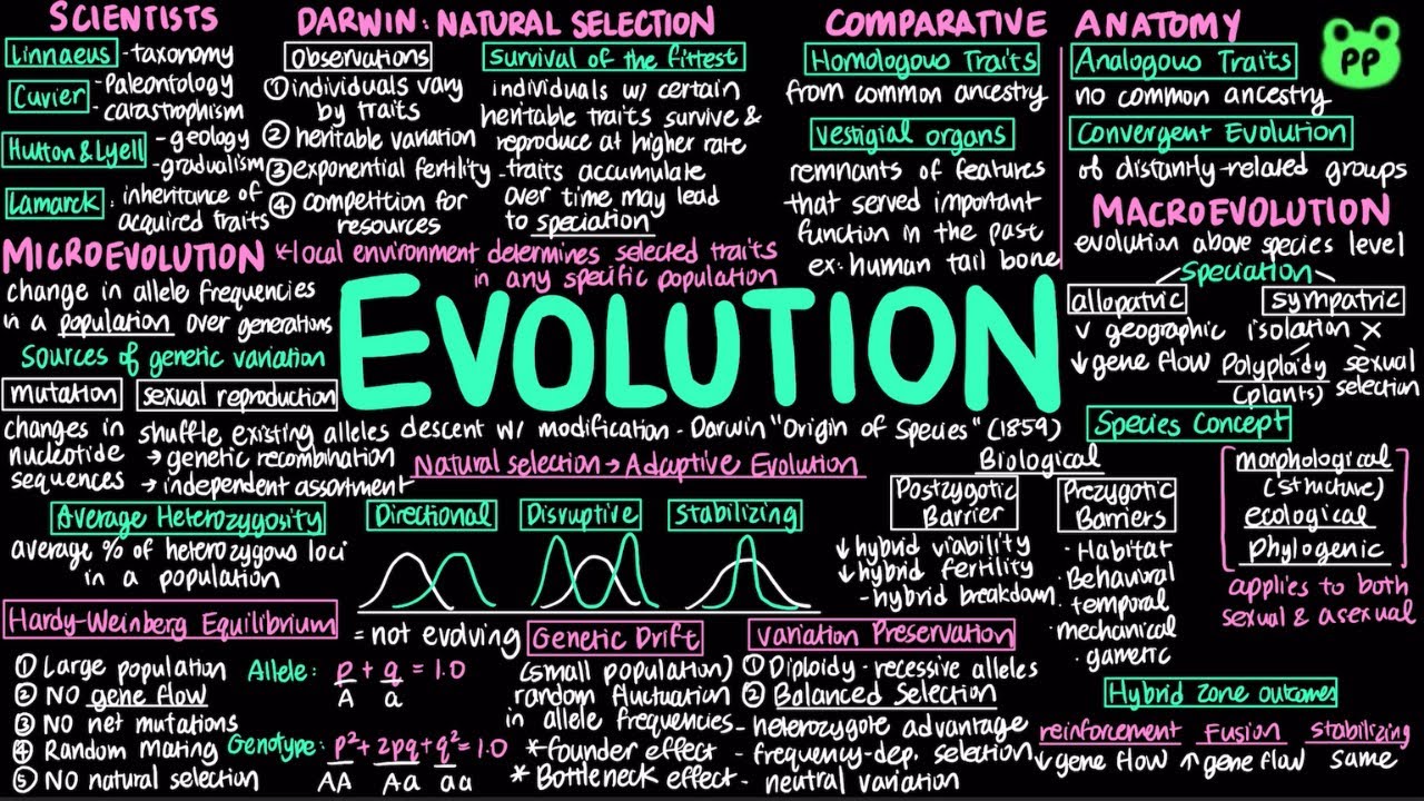 Understanding Evolution: The Journey from Ancestral Species to Modern ...