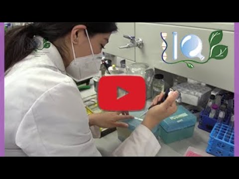 Instituto de Investigaciones Químico Biológicas