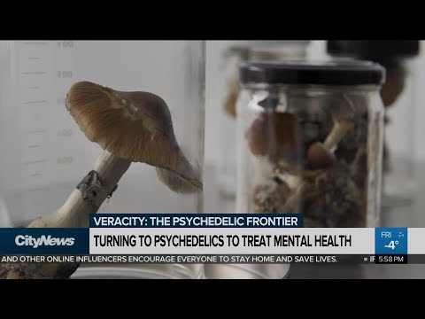Turning to psychedelics to treat mental health