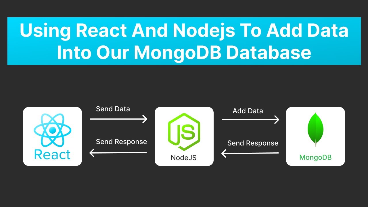 Add Data to MongoDB Using React and Node.js | MERN Stack Tutorial