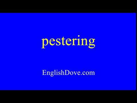 How to pronounce pestering in American English.