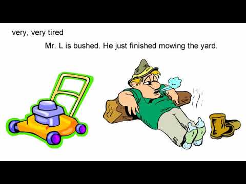 bushed meaning | Vocabulary for Kids | Children's Dictionary | Learn English Vocabulary