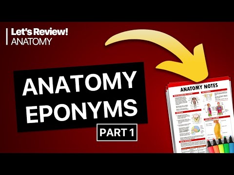 Anatomy Eponyms 1 | Let's Review